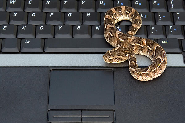 New SNAKE Ransomware is an Attack Mix of Obfuscation, Encryption, and ...