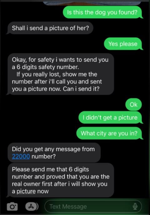 "How I lost my dog and almost my Google credentials..."