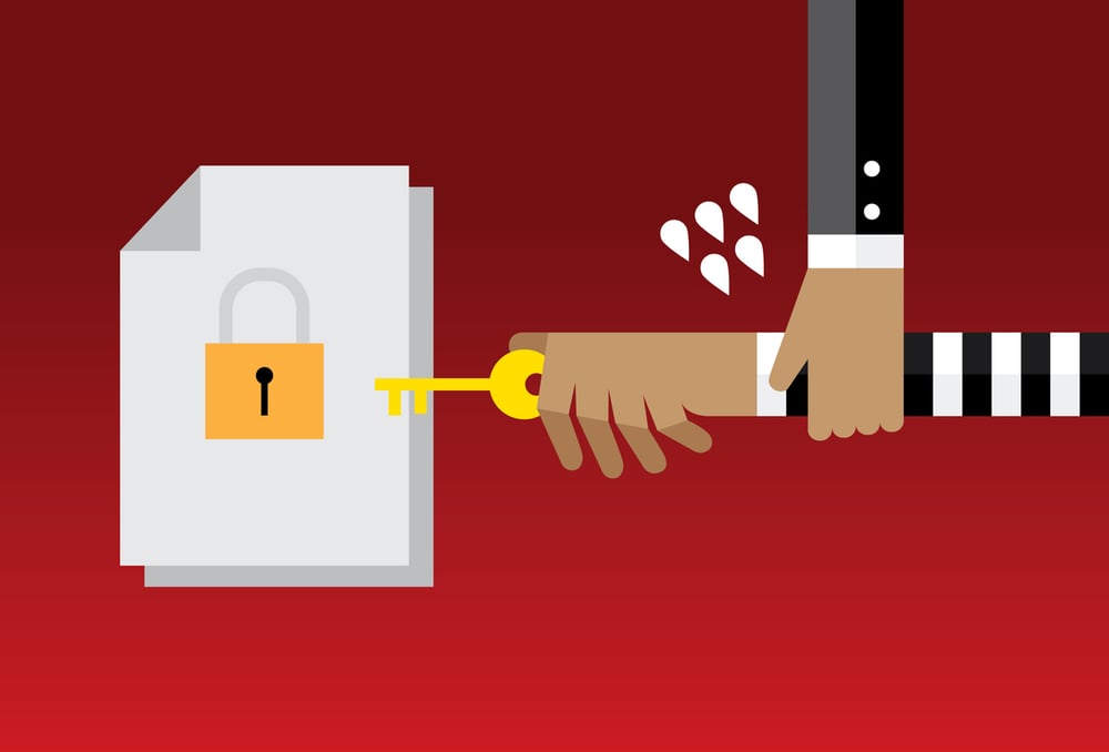 A Novel Form of Homographic Attack