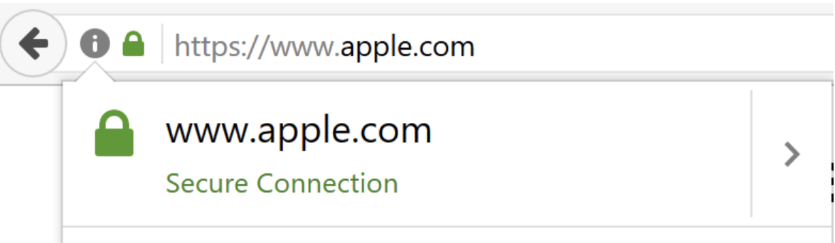 Top 12 Most Common Rogue URL Tricks